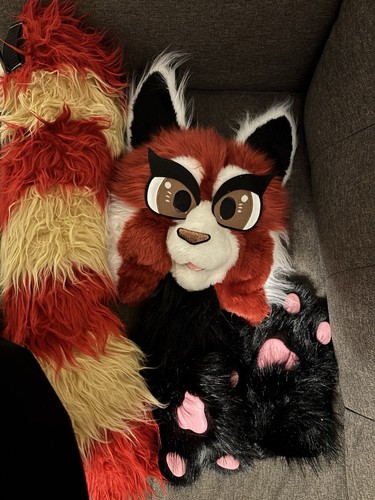 Lavafox Red Panda Fursuit Partial With Paws (worn Twice) HQ | eBay