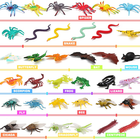 76 Pack Mini Plastic Bug Set, Realistic Insects Toy for Child, Fake ...