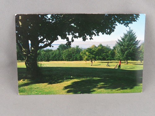 Vintage Postcard - Powell River Golf Course - Hindles Gift and Arts | eBay