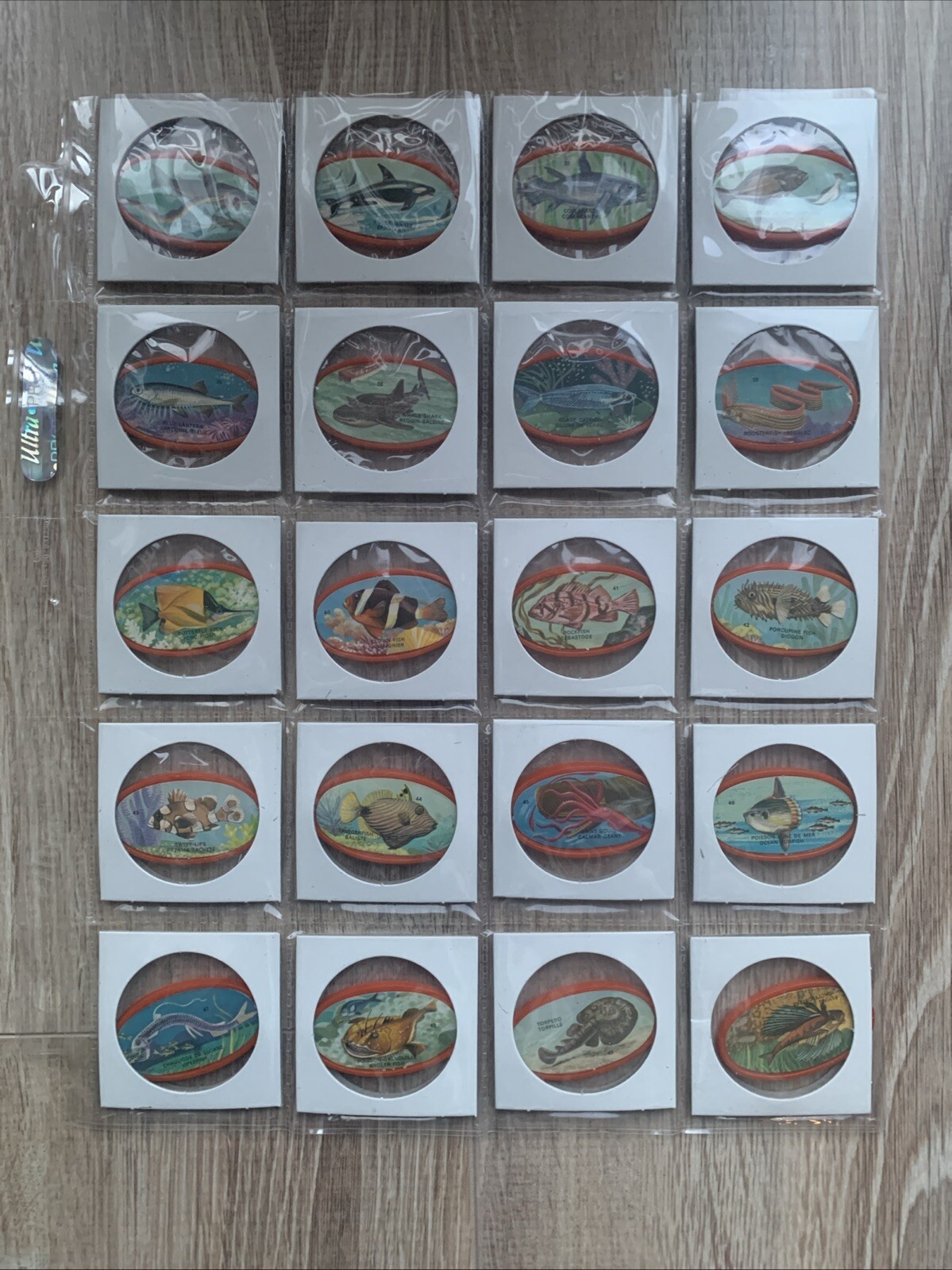 1960's Royal Desserts Fish Coin Complete Set Of 50 | eBay