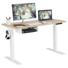 48" Height Adjustable Electric Standing Desk w/ Control Panel & USB ...