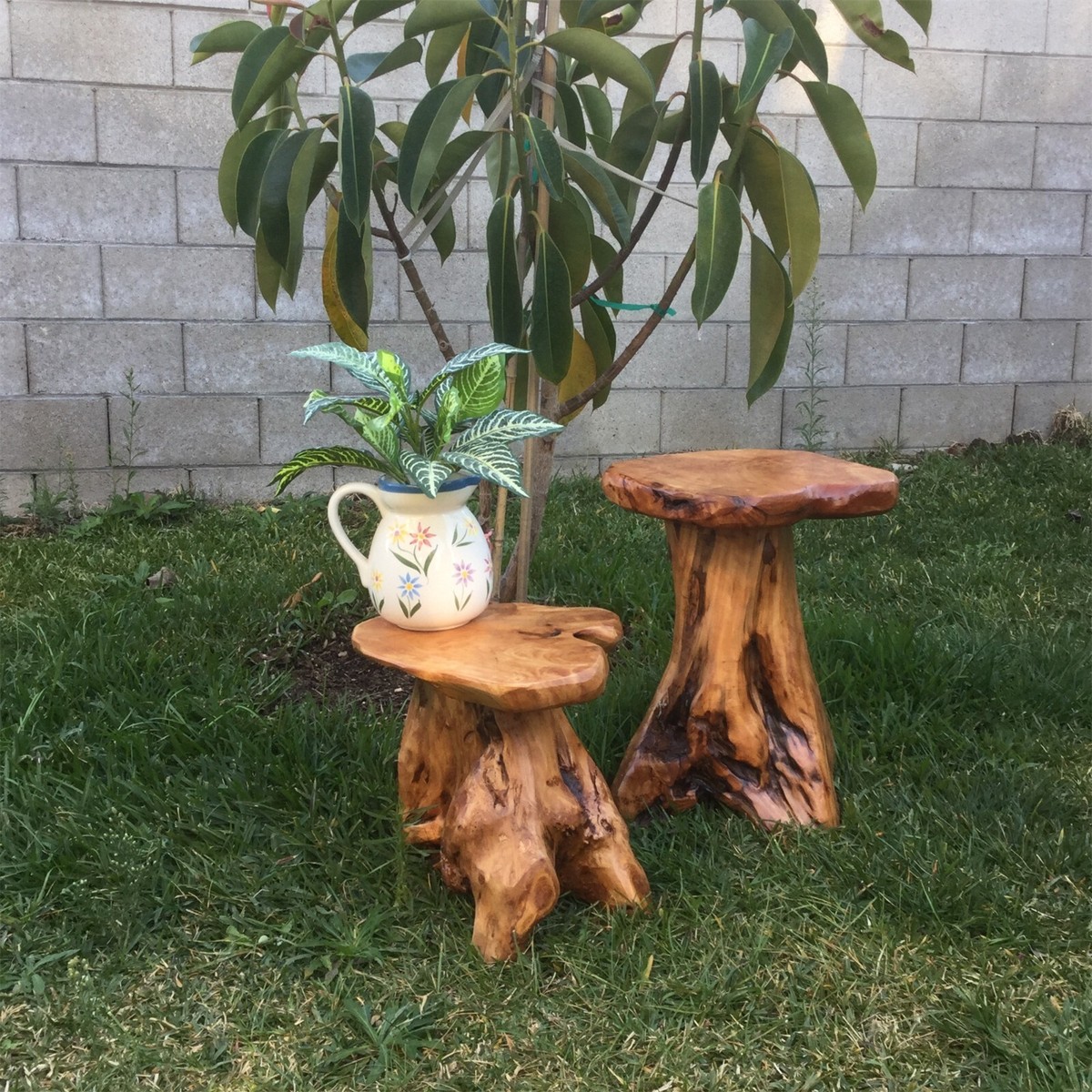 Tree Stump Plant Stand