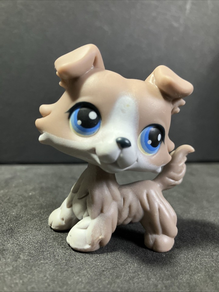 Authentic Littlest Pet Shop #67 Collie Gray White Puppy Dog Blue Eyes ...