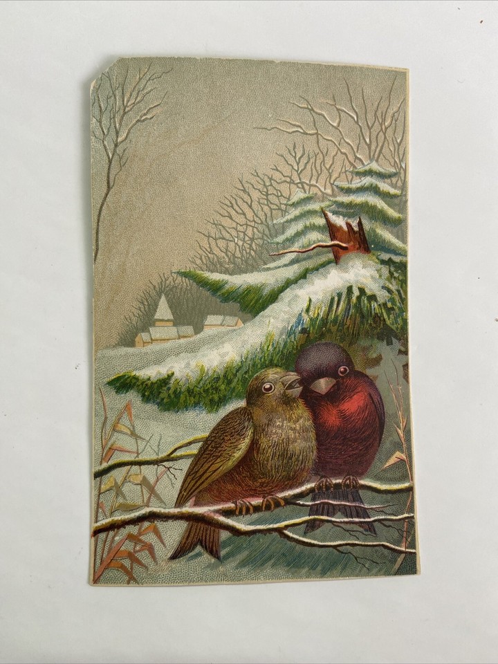 Farm & Fireside Mag, Victorian Trade Card Birds, 1882, Sells ...