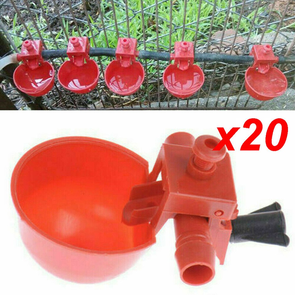 10/20*Poultry/Quail Water Drinking Cups Chicken Hen Plastic Automatic ...