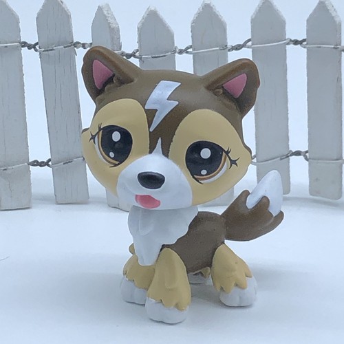 Littlest Pet Shop LPS Pet Pairs Series 2 G7 Gen 7 #88 Dog Husky | eBay