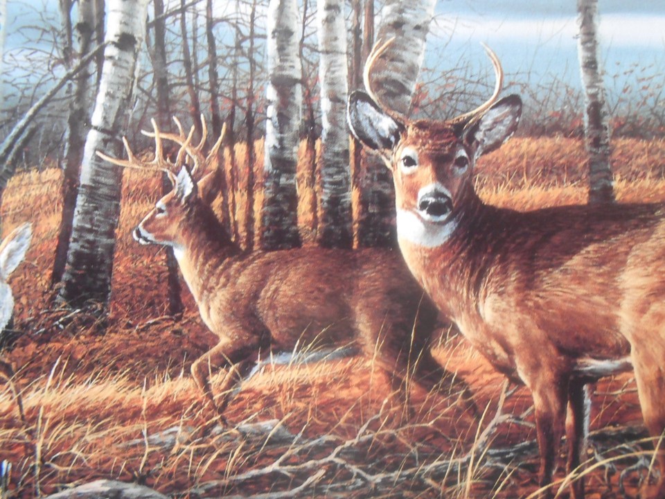 Terry Redlin THE BIRCH LINE 11x14 framed 4.25 115 | eBay
