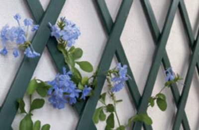 Green Expanding Plastic Garden Trellis 180 X 40cm 1.8m each PVC Trellis ...