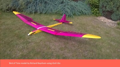 'Bird of Time' - Classic 3m RC Model Glider ~ Laser-cut Balsa Wing RIB ...