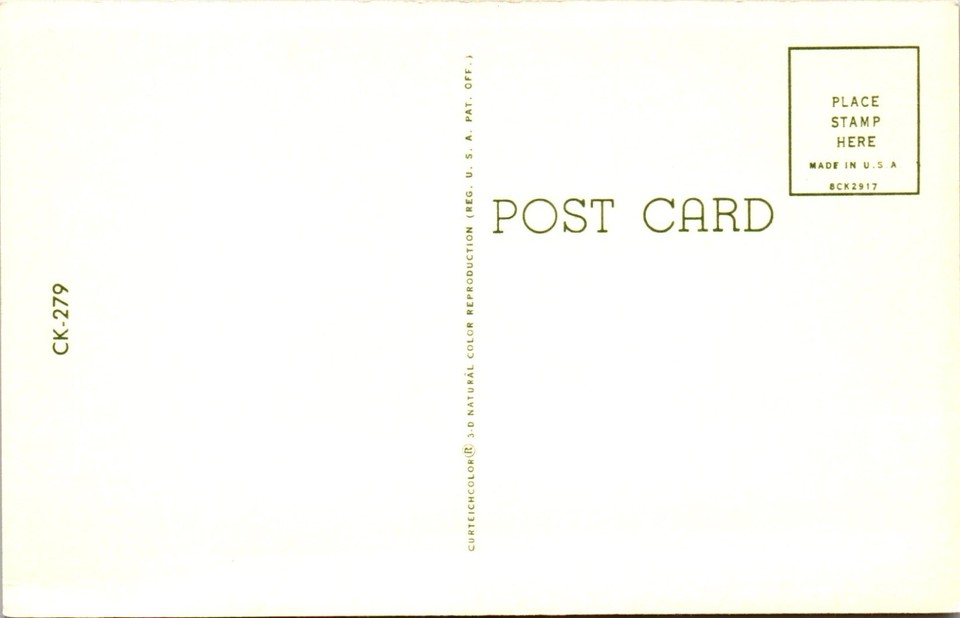 Postcard White Tail Deer Fawn Hiding Grass Alert Spotted | eBay