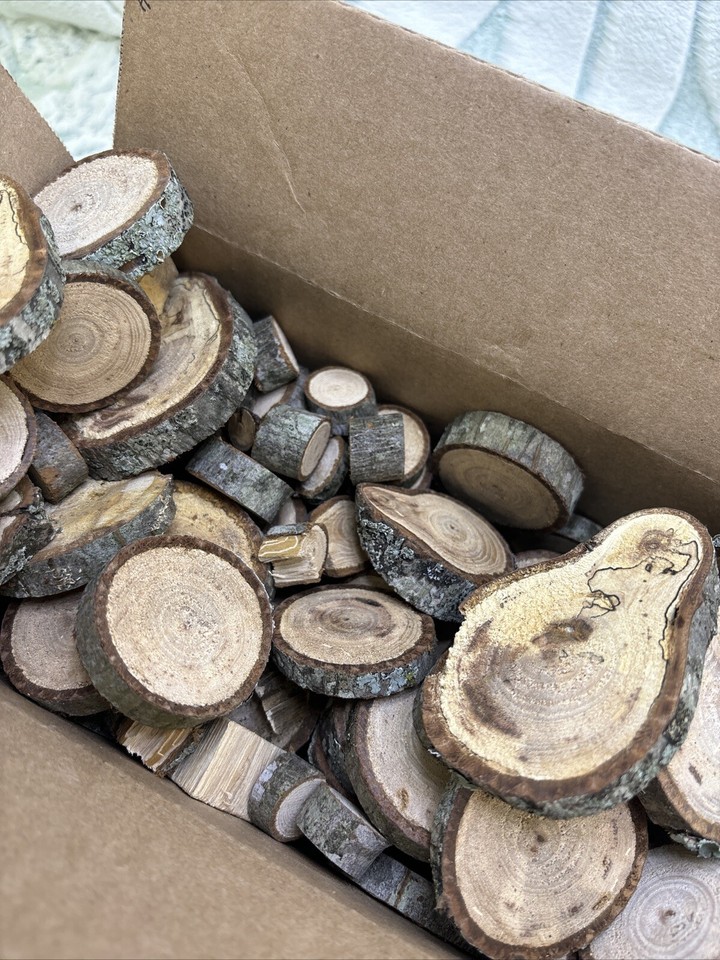 Hickory Wood Chunks Disks for BBQ/Grilling/Wood Smoking Crafts 3 LBs 48 ...