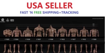 【AUTHENTIC】WORLDBOX 1/6 DURABLE Action Figure Body AT011 AT012 AT018 ...