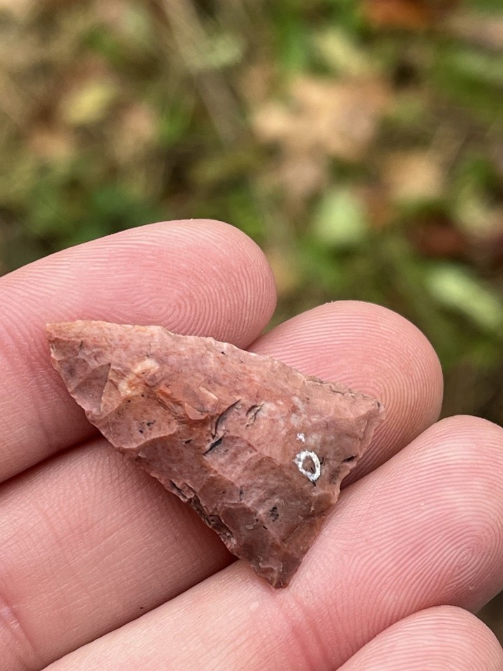 MADISON BIRD POINT ARROWHEAD MISSOURI ANCIENT AUTHENTIC NATIVE AMERICAN ...