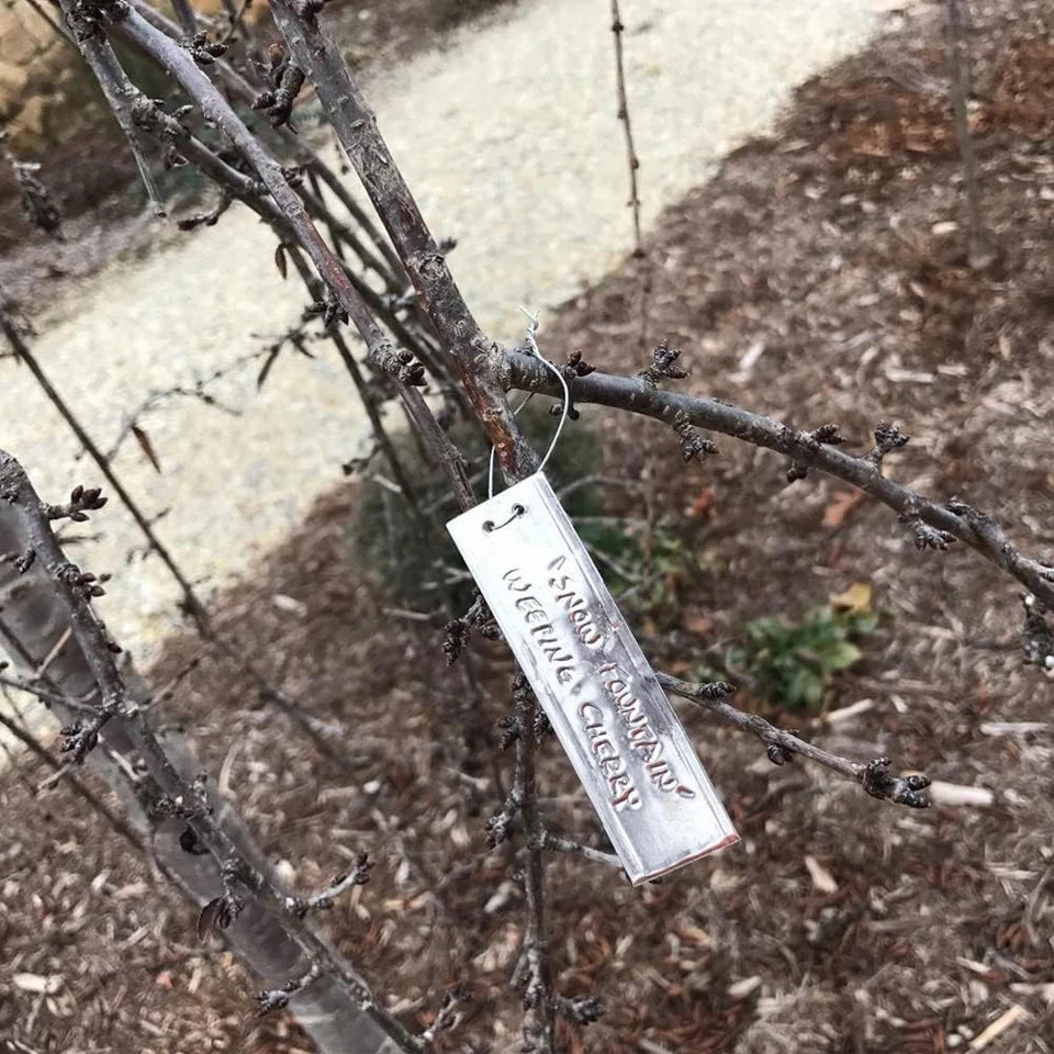 Aluminum Plant Labels - 120PCS Metal Tags with Wires for Plant Markers ...
