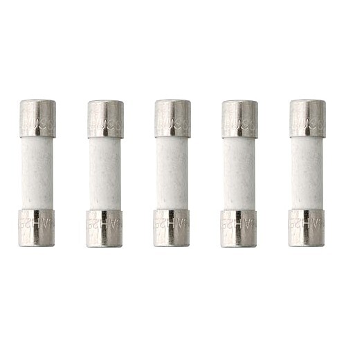 5 Pack of Buss GDA-.315, 315mA @ 250V, Ceramic Fast-Acting (Fast Blow ...