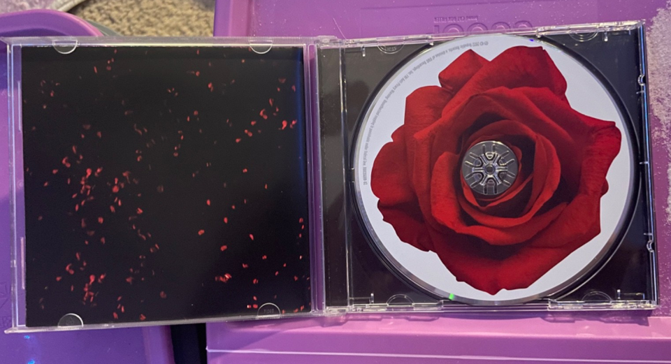Conan Gray Signed “Superache” CD Insert! | eBay