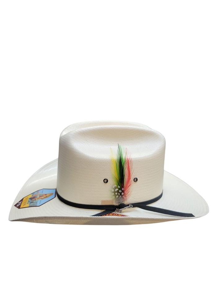Stetson® 10X Spartan Straw Hat 3.5" Brim-4 5/8 Crown | eBay