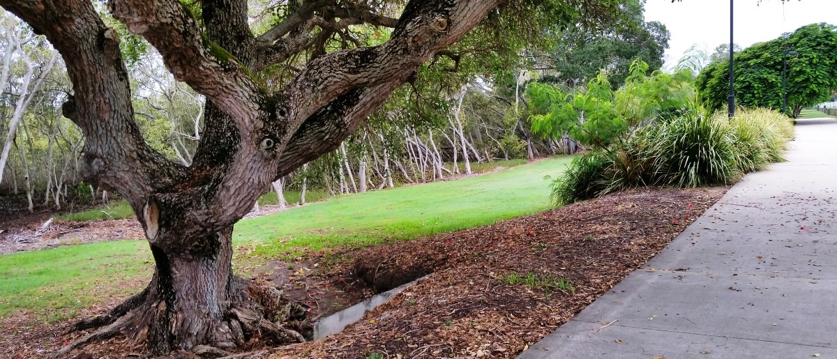 Bidbuy Qld | eBay Australia Stores