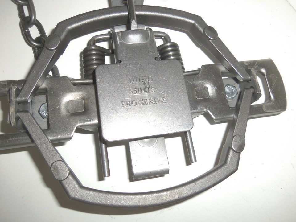 4 Duke 550 Pro Series Offset Coil Spring Coyote Bobcat Raccoon Fox 0550 ...