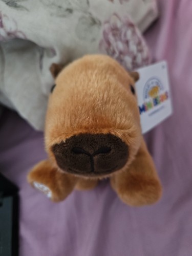 Build-A-Bear Mini Beans Capybara BAB Plush Soft Toy ~ New with Tag | eBay