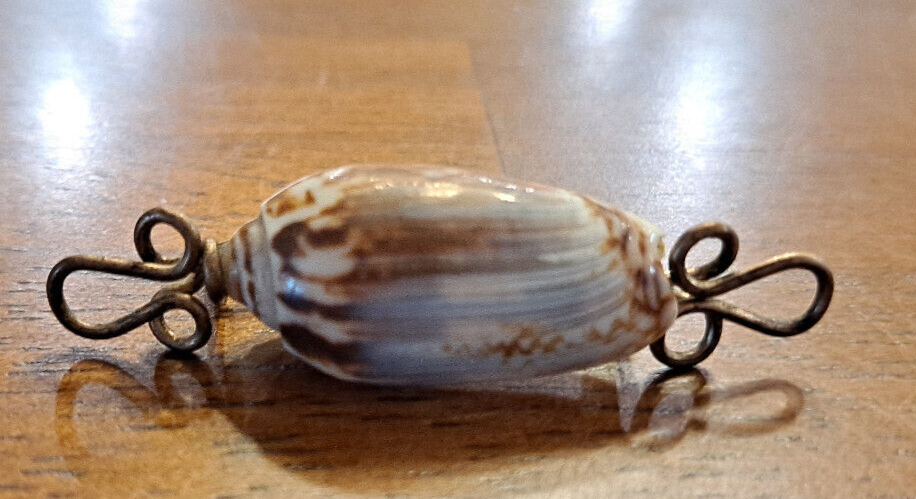 Vintage Sea Shell Conch wire wrapped brooch | eBay