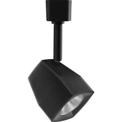 Lithonia Lighting Black Integrated LED Linear Track Step Head Light ...