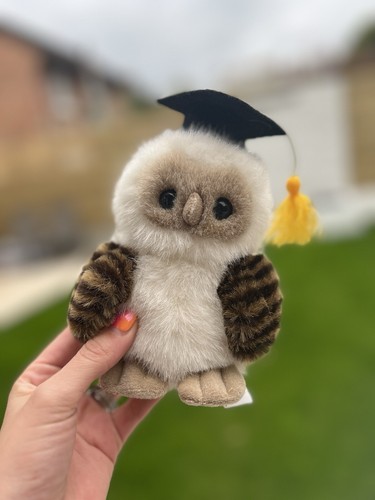 Graduation Teddy Owl With Hat Gift Sentimental Birthdays Bury, England ...
