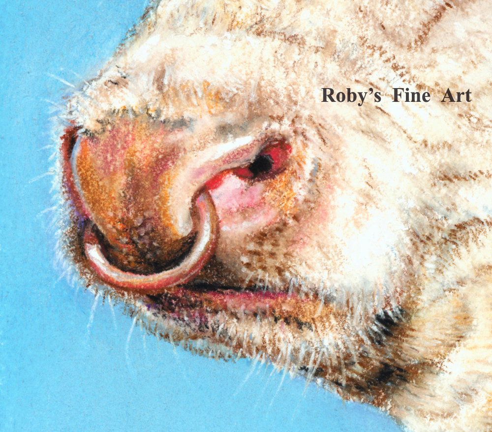 Cattle Art Print Hereford Bull Giclee 8x10 Image by Realism Artist Roby ...
