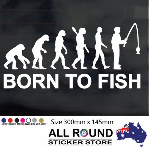 Born to fish -funny-fishing-car-sticker-popular-boating-camping-4x4 ...