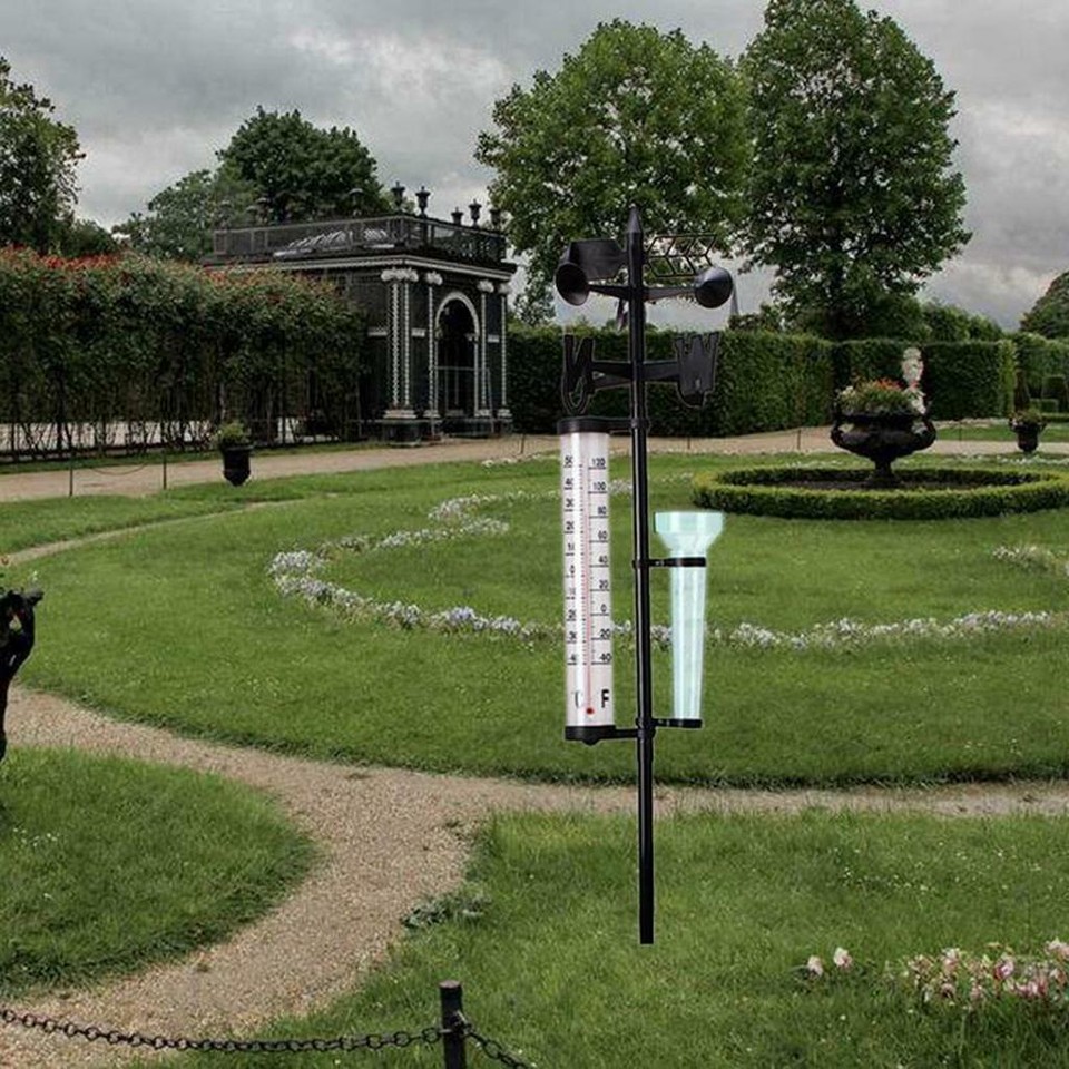 Kit Rain Temperature Weather Vane | eBay