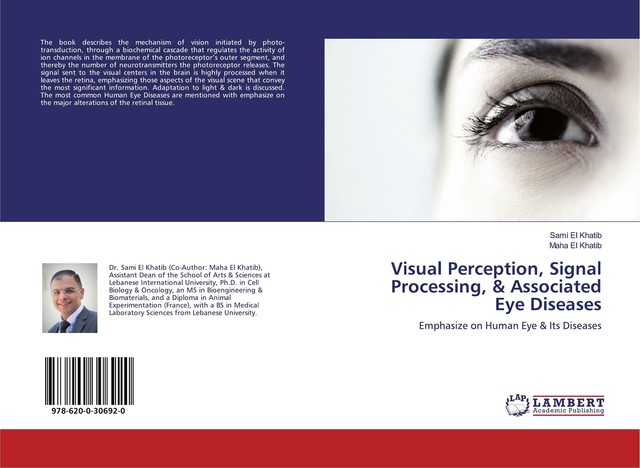 Visual Perception, Signal Processing, & Associated Eye Diseases von ...
