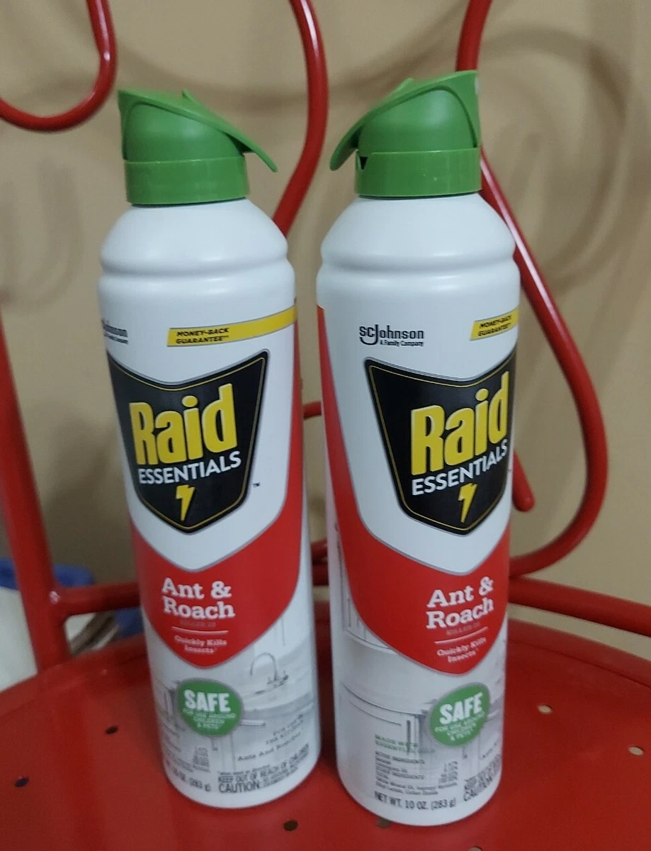 How Long After Using Raid Is It Safe Outlet | zkzl.poznan.pl