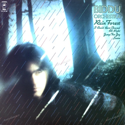 Biddu Orchestra - Rain Forest LP (VG/VG) . | eBay