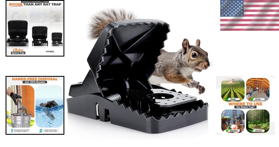 Large Opening Squirrel Trap - 5" Instant Kill, Simple Setup & Hygienic ...