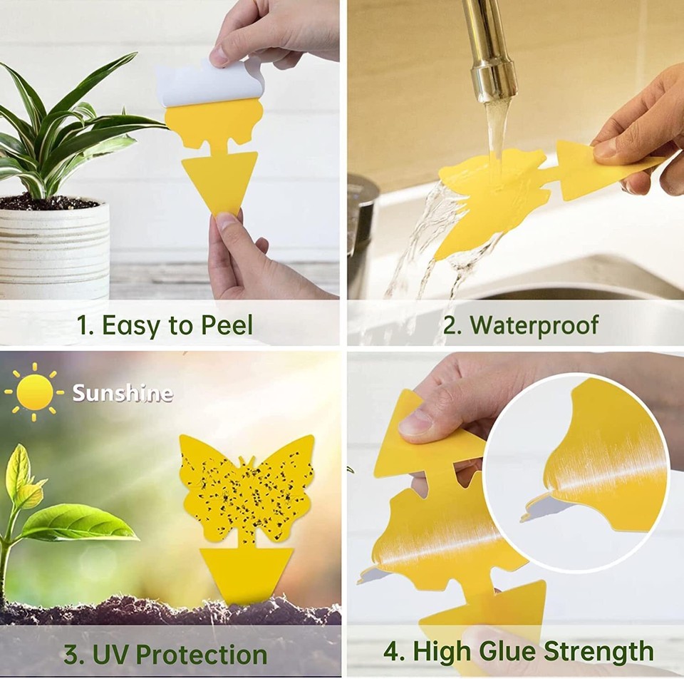 20PCS Yellow Sticky Fly Catching Paper Fruit Fly Insect Aphid Glue ...