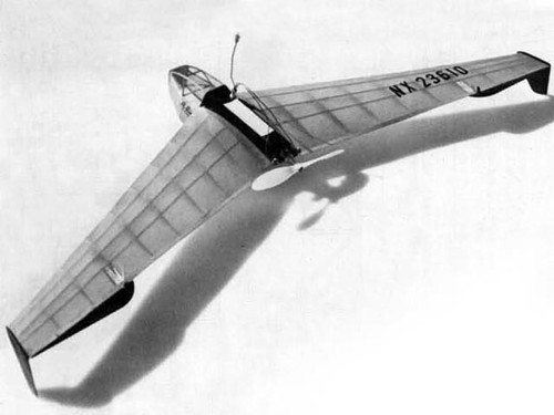 Alien Free Flight CO2 Flying Wing 30" RC Model Airplane Printed Plans ...