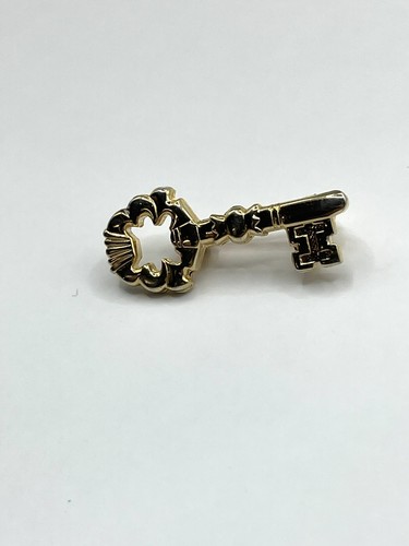 Tiny Skeleton Key Lapel Pin Brooch Hat Pin Unisex | eBay