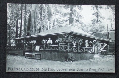 1910s Big Tree Club House Big Tree Grove Santa Cruz CA Postcard ...