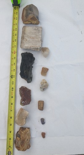 Petrified Fossil wood assortment Of Rocks And Crystals Including Holley ...