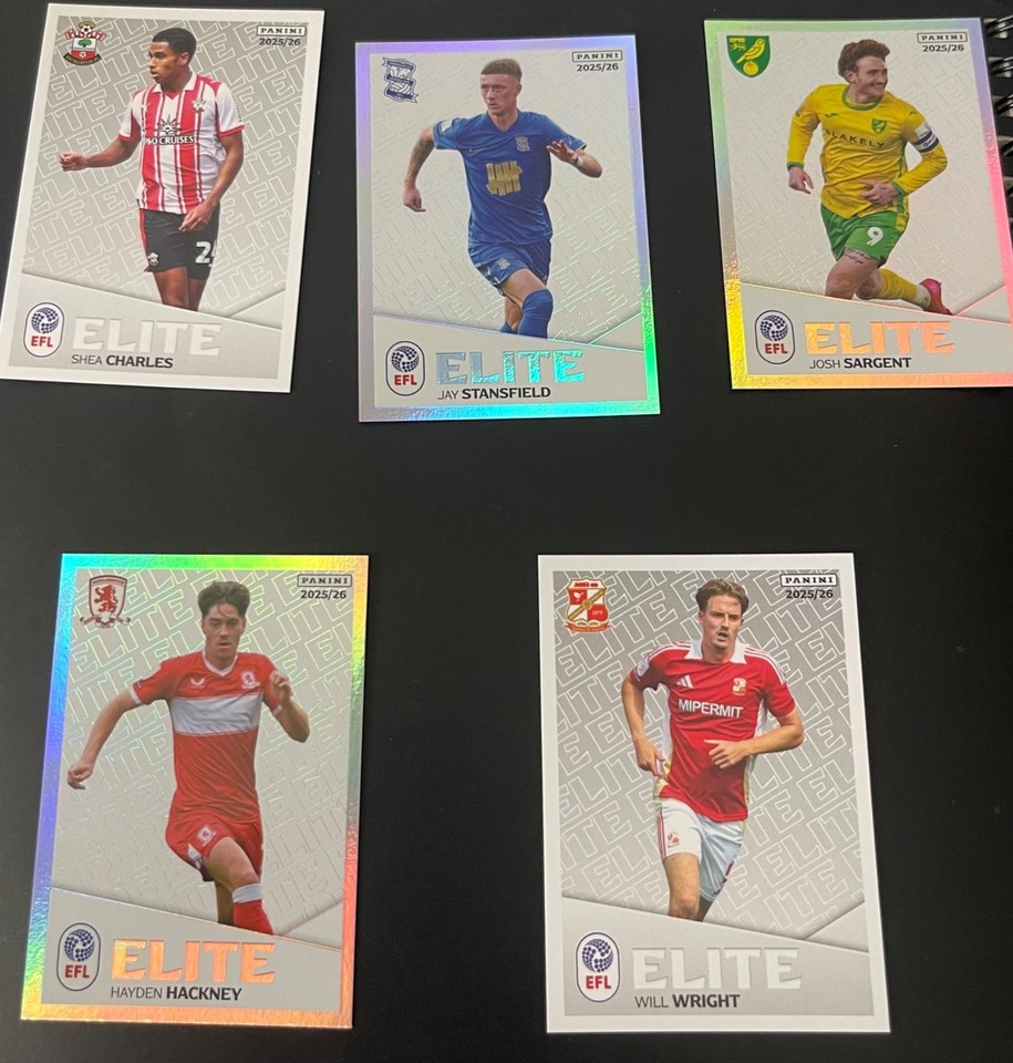 Panini EFL 25/26 Sticker Book + 5 Packs + 85+ stickers Captains, Trophy ...