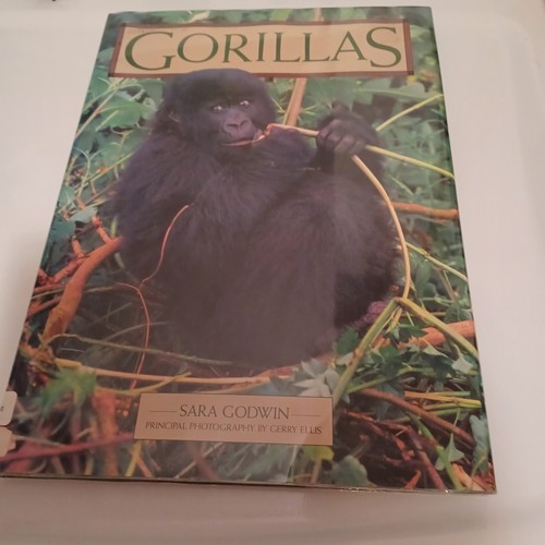 GORILLAS By Sara Godwin HCDJ Gorgeous Photography Educational FREE ...