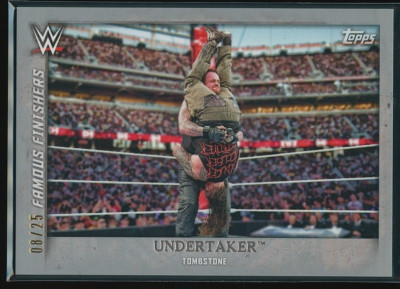 Undertaker 2015 Topps WWE Undisputed Famous Finishers Tombstone Silver ...
