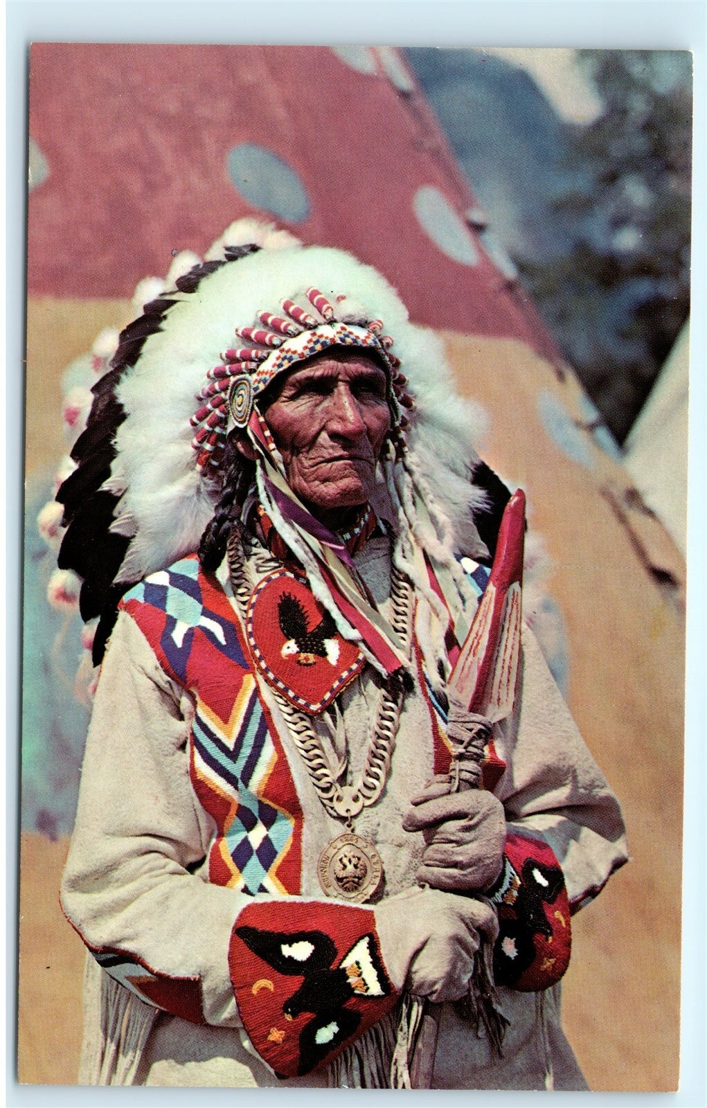 Native American Chief Costume