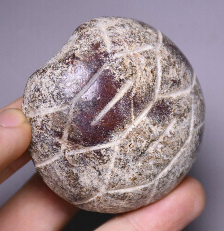 5.5CM China hongshan Culture Old Jade Carve tortoise Turtle shell ...