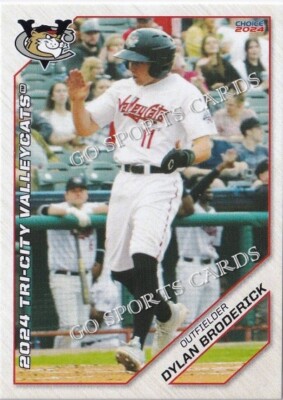 2024 Tri City ValleyCats Dylan Broderick RC Rookie | eBay