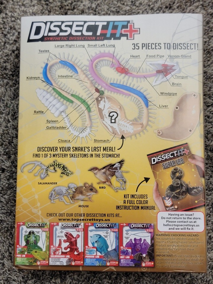 Top Secret Toys Dissect It: A Synthetic Rattlesnake Dissection Kit ...