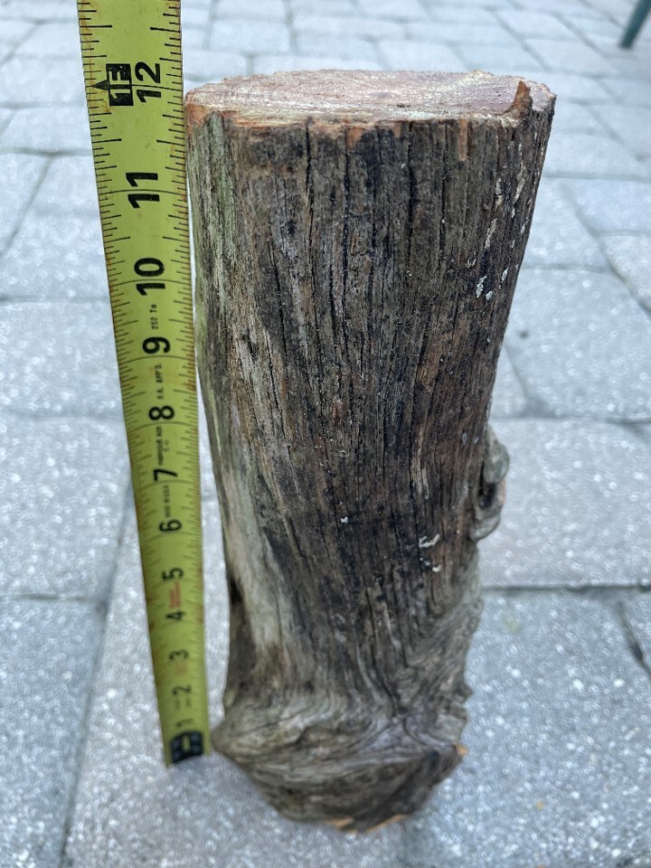 Fatwood log, six pounds, solid lighter pine, heart wood | eBay