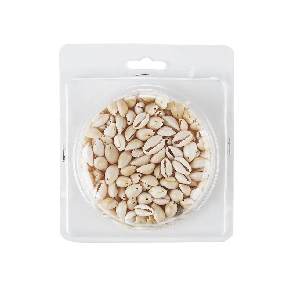 1Box Spiral Shell Beads Cowrie Money Seashell Oval No Cut Back Loose ...