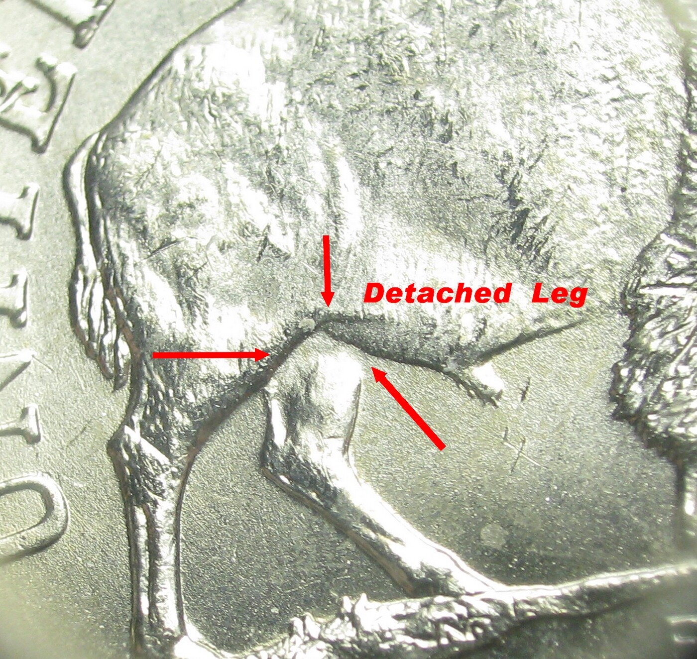 ERROR 2005-P ULTRA Detached Leg Bison Jeff Nickel - 5c-Straight from ...