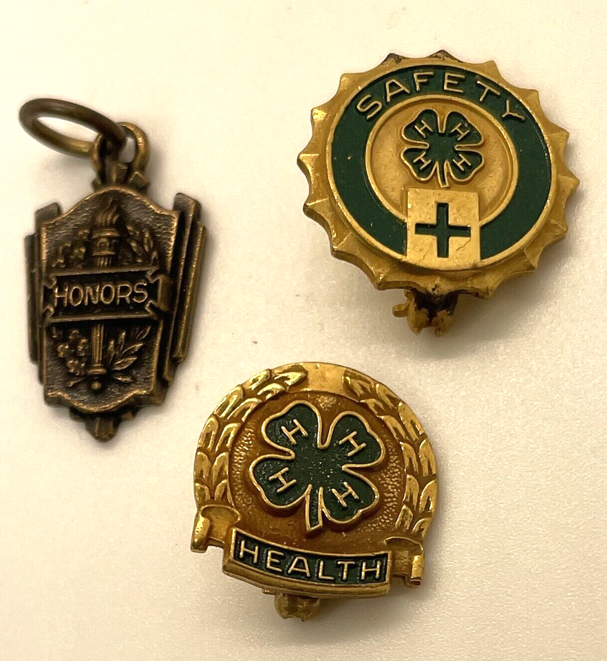 4-H Honor Pins 1/20 10K Eli Lilly & General Motors + Honors Charm ...
